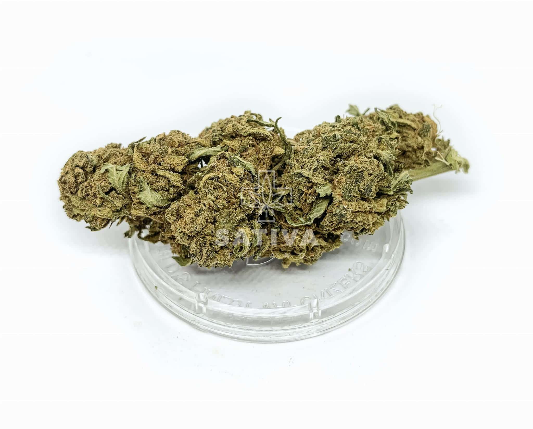 Zkittlez Special Edition CBD-Gras - CBD-Blüten >> VapeFully Garantie