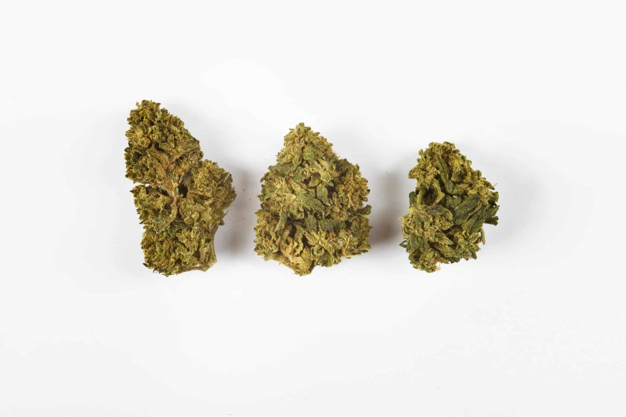 Sativa Lenkija Kanabės - VapeFully.lt