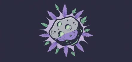 Moon Rock Cannabis: What It Is, Effects, THC Content & How It Differs ...